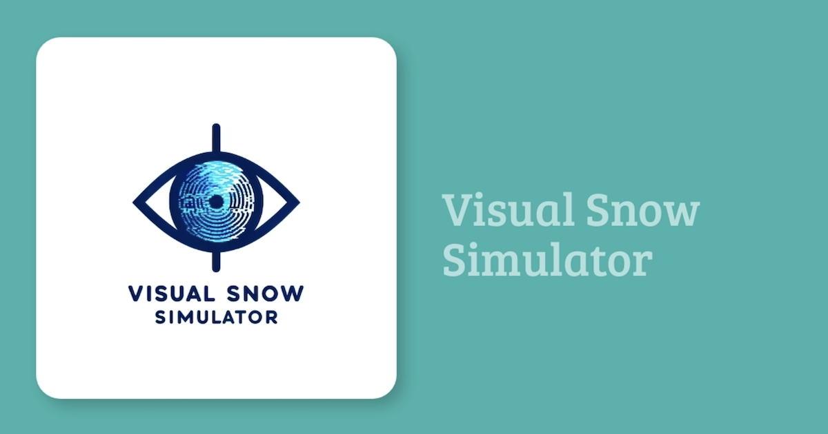 Visual Snow Simulator